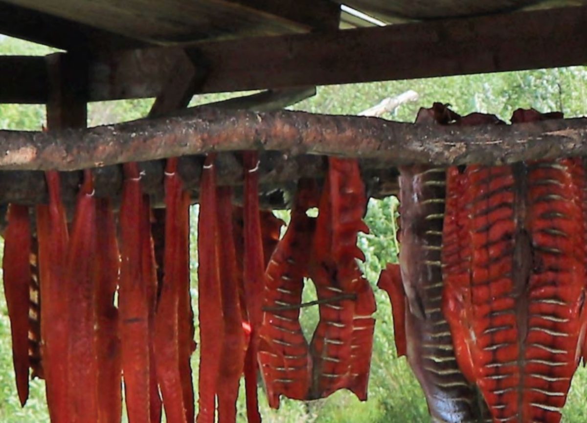 Native Village Of Napakiak Creates A Managed Retreat Plan - Millennial ...